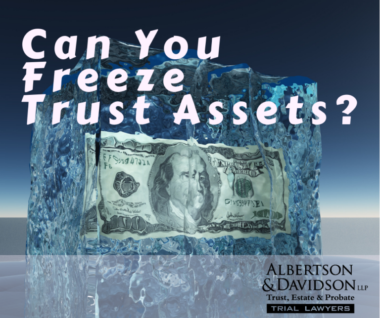 Don’t Touch My Assets! How To Freeze Trust Assets During a Lawsuit?